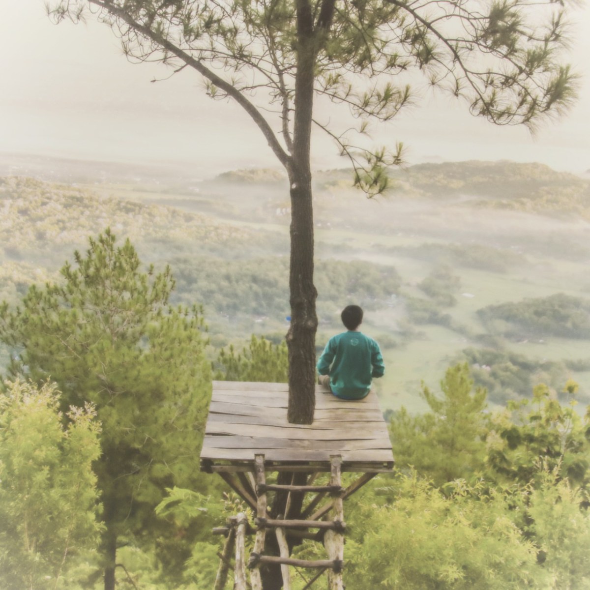 Silent Sitting, And The Wind in the Trees – Notes & Silence